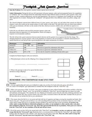 Natural Selection: Toothpick Fish - Amped Up Learning