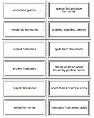 Endocrine System Flash Cards - Amped Up Learning