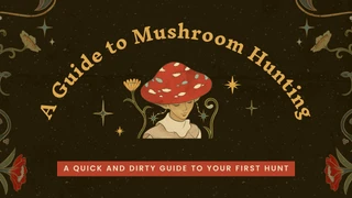 Learn all about Scorpions