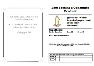 Paper Towel Science Lab - Amped Up Learning
