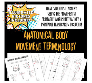 Anatomical Body Movements w/ Illustrations- Worksheet & Flashcards ...