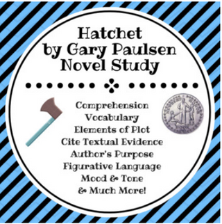 Hatchet Common Core Comprehension Questions with Vocabulary