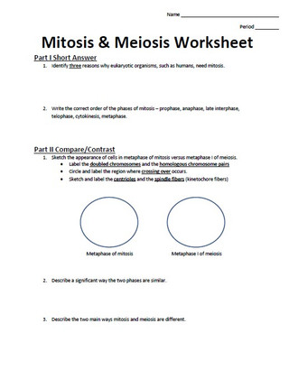 Mitosis Flipbook - Amped Up Learning