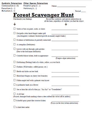 Forest Scavenger Hunt - Amped Up Learning