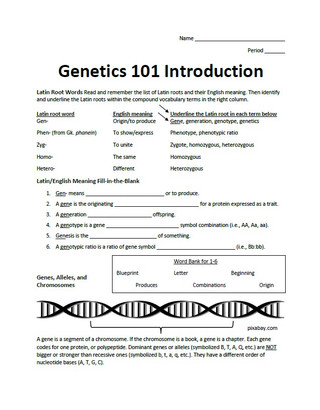 Great Genetics 101 Introduction Lesson - Amped Up Learning