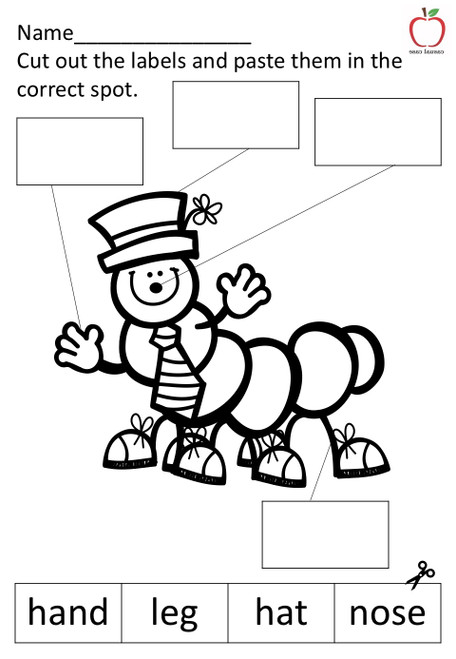 Emergency Casual/Relief/Sub Teacher Booklet - Stage 1