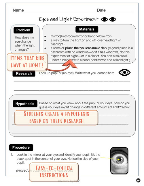 Light and Color Science Activity
