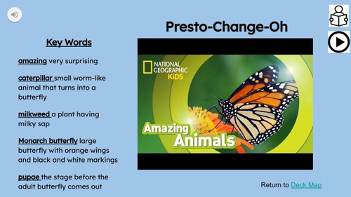 Butterfly Facts Informational Text Reading Passage and Activities