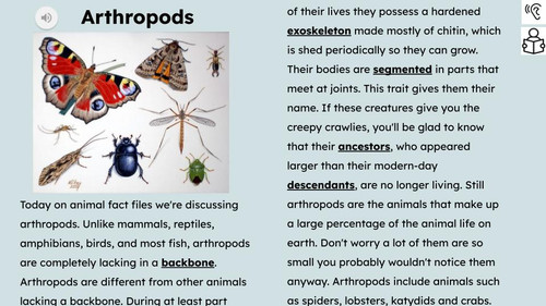 Bees Informational Text Reading Passage and Activities