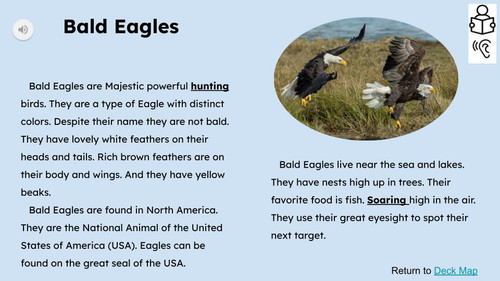 Chimps Informational Text Reading Passage and Activities