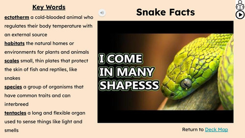 Peacock Informational Text Reading Passage and Activities