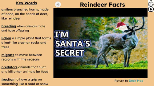 Peacock Informational Text Reading Passage and Activities