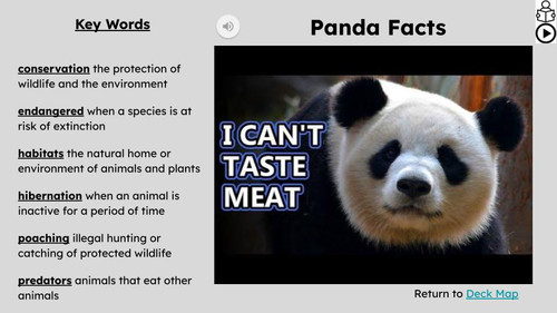 Peacock Informational Text Reading Passage and Activities