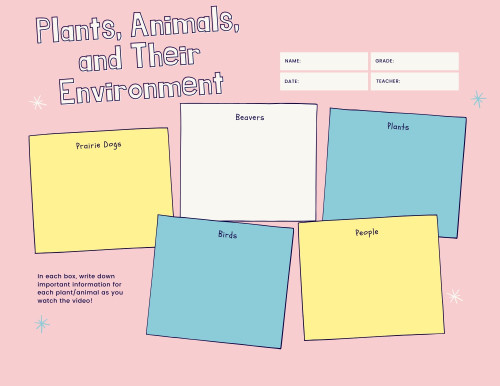 Plants, Animals, and Their Environment Graphic Organizer - Amped Up ...