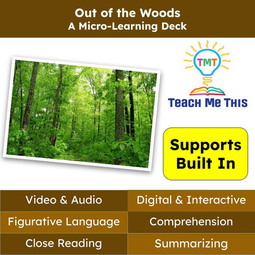 Go With The Flow Figurative Language Reading Passage and Activities