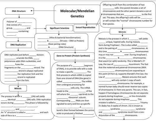 Concept Madness: Diversity of Life - Amped Up Learning