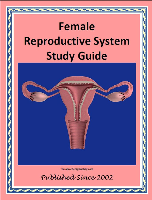 Female Reproductive System Study Guide