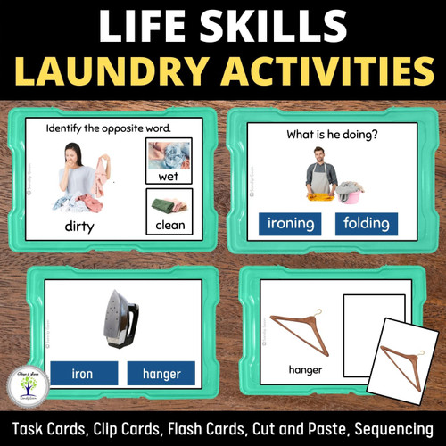 Main Idea Task Cards for Special Education