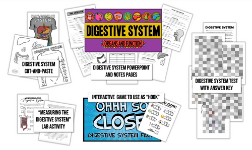 Health and Anatomy Word Wall | Digestive System