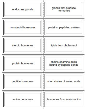 Endocrine System Flash Cards - Amped Up Learning
