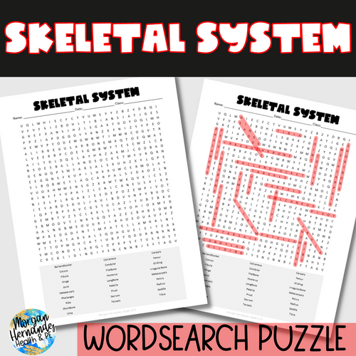 Urinary System Word Search