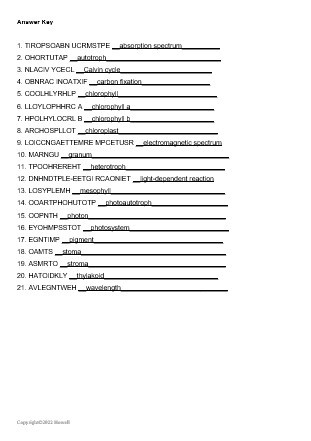 Biology II Vocabulary Word Scrambles Bundle - Amped Up Learning