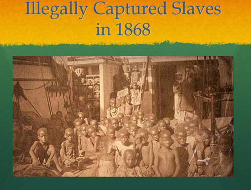 The Atlantic Slave Trade introduction - Video Guide & answer key ...