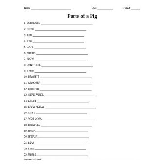 Animal Science Word Search Bundle - Amped Up Learning