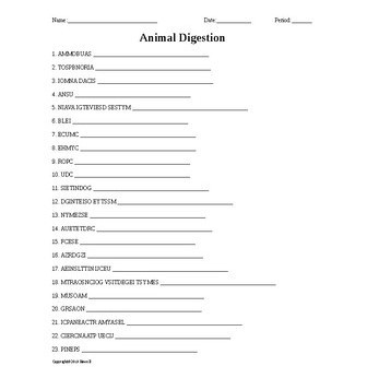 Animal Science Word Scramble Bundle - Amped Up Learning