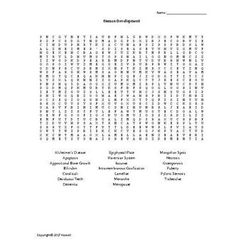 Biology Vocabulary Word Searches Bundle - Amped Up Learning