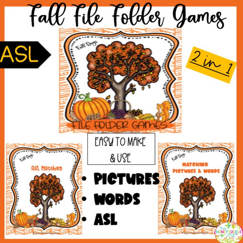 ASL Summer Picnic Foods File Folder Games