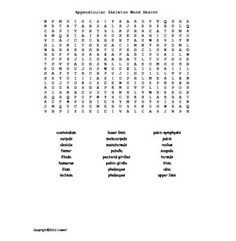 Anatomy Vocabulary Word Search Bundle - Amped Up Learning
