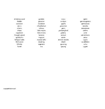 Word Search Bundle for Small Animal Science - Amped Up Learning