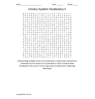 Urinary System II Word Search for a Medical Terminology Course - Amped ...