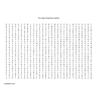 The Upper Respiratory System Vocabulary Word Search for Anatomy ...