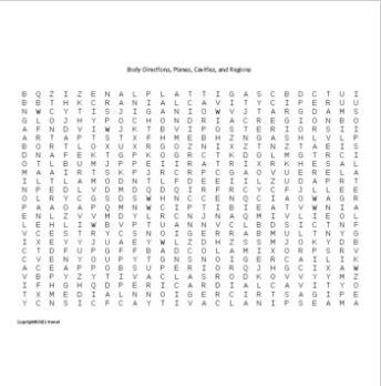 Body Directions, Planes, Cavities, and Regions Vocab. Word Search For ...