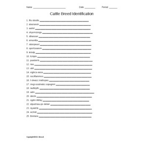 Cattle Breed Identification Word Scramble - Amped Up Learning