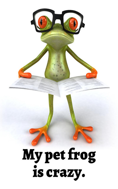 My Little Pet Dragon - Amped Up Learning