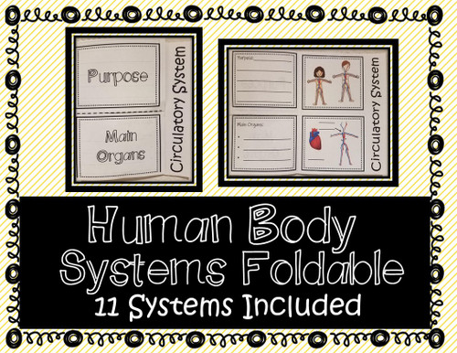 Human Body Systems - Interactive Notebook / Foldable - Amped Up Learning