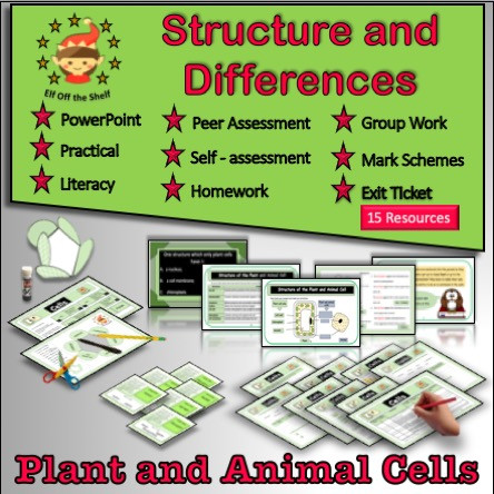 Plant and Animal Cells - Structure, Difference and Specialisation Board ...