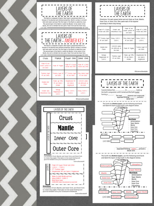 Ecological Succession - Bundle - Amped Up Learning