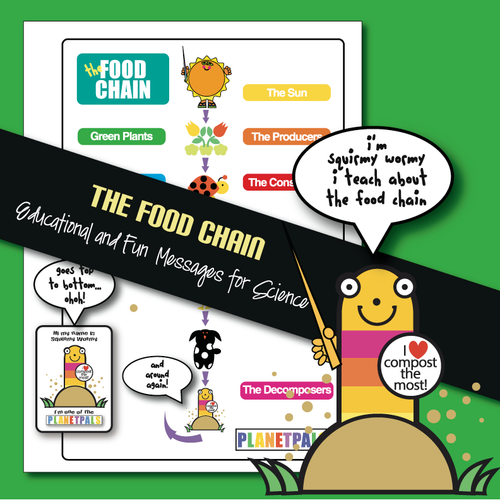 Food Chain Lesson Earth Science Poster Classroom Bulletin Board - Amped ...