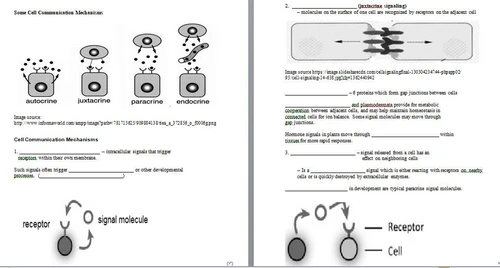 Cell Structure and Function Learning Activities (Distance Learning)