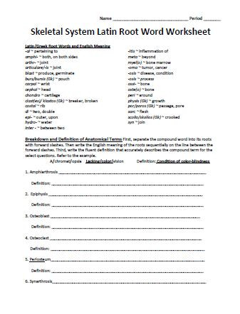 Latin Root Word Worksheet Set for Unit One Human Anatomy & Physiology ...