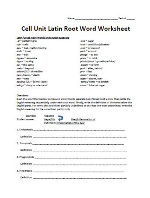 Digestive System Unit Latin Root Word Worksheet - Amped Up Learning