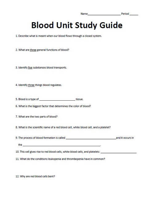 Blood Unit Vocabulary Tournament - Amped Up Learning