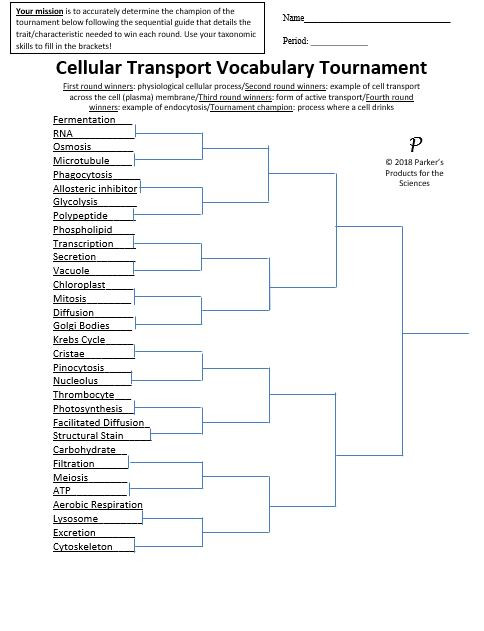 Blood Unit Vocabulary Tournament - Amped Up Learning
