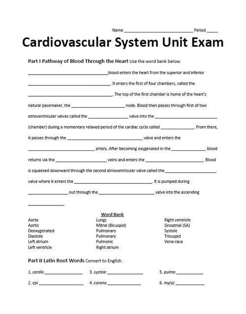 Cardiovascular System Outline Activity