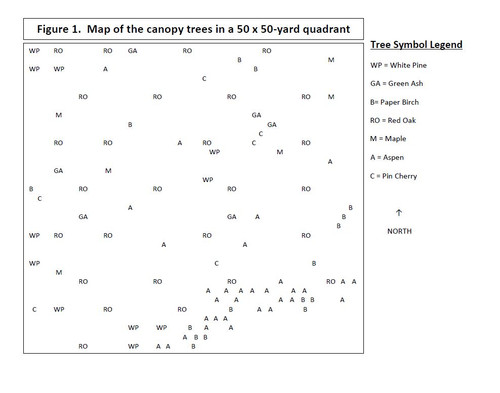 Angle of Insolation Data Analysis Activity