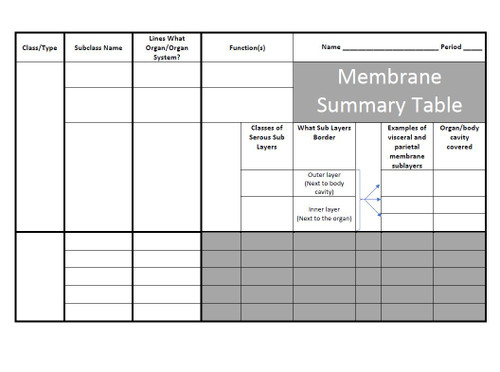 Nervous System Summary Table Series - Amped Up Learning
